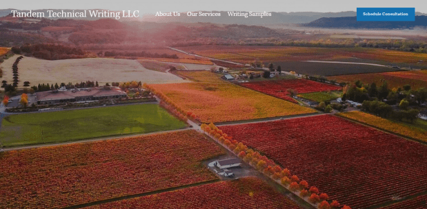 Two companies that can provide friction ridge/face marketing and ...