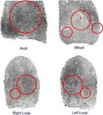 Did the Columbia Study “Discover” Fingerprint Patterns? – Bredemarket